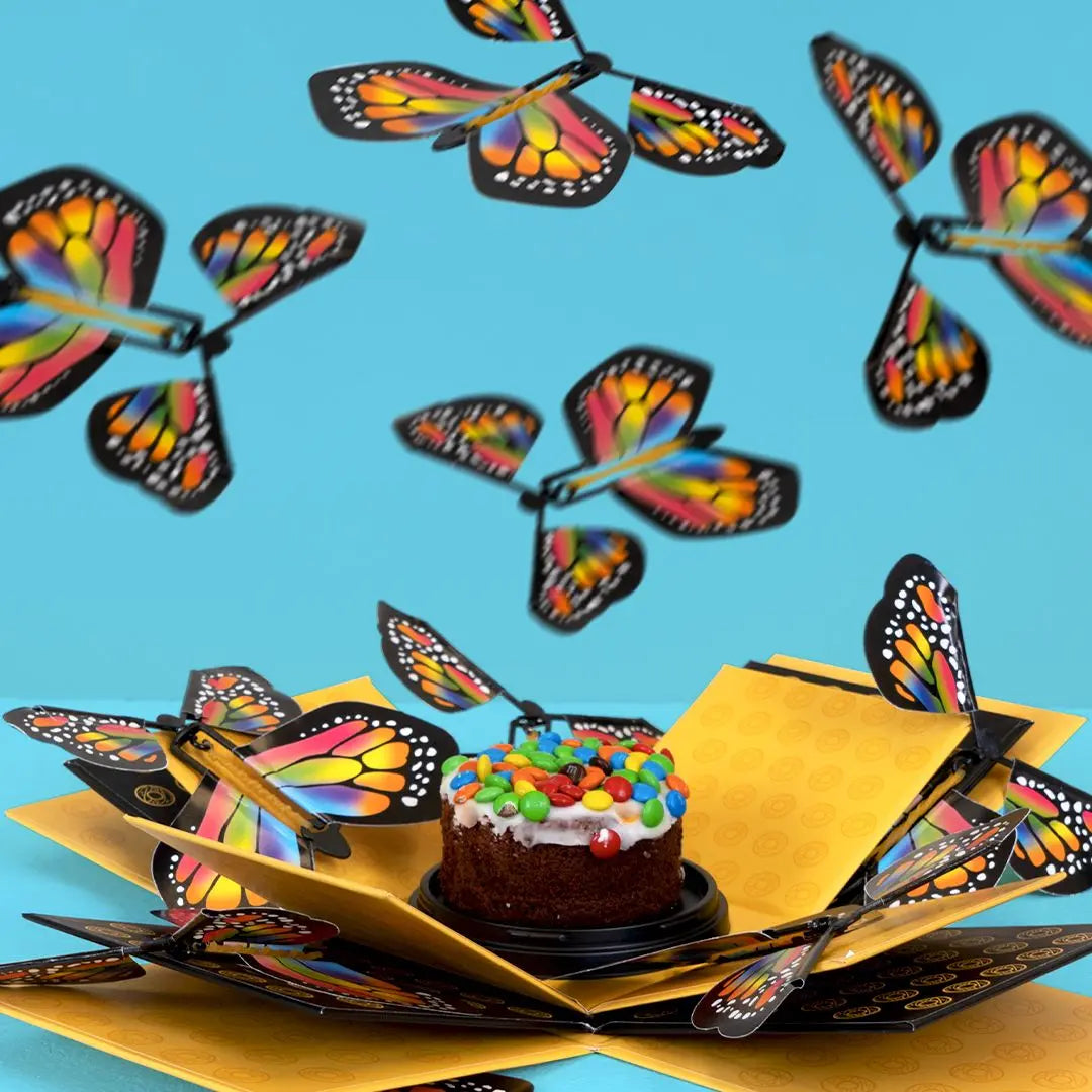Cake Explosion Box with Flying Butterflies Gift – Goldelucks