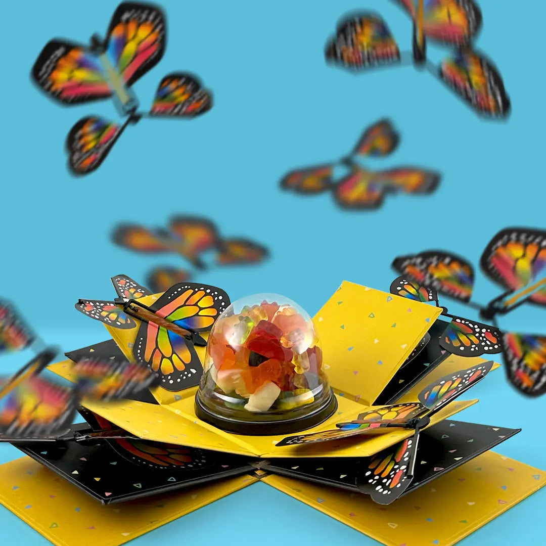 Party Lolly Butterfly Explosion Box - Goldelucks