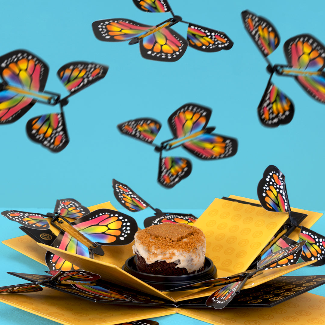 Cake Explosion Box with Flying Butterflies Gift – Goldelucks