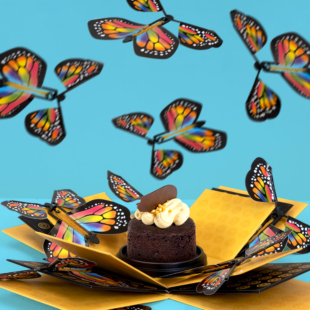 Cake Explosion Box with Flying Butterflies Gift – Goldelucks