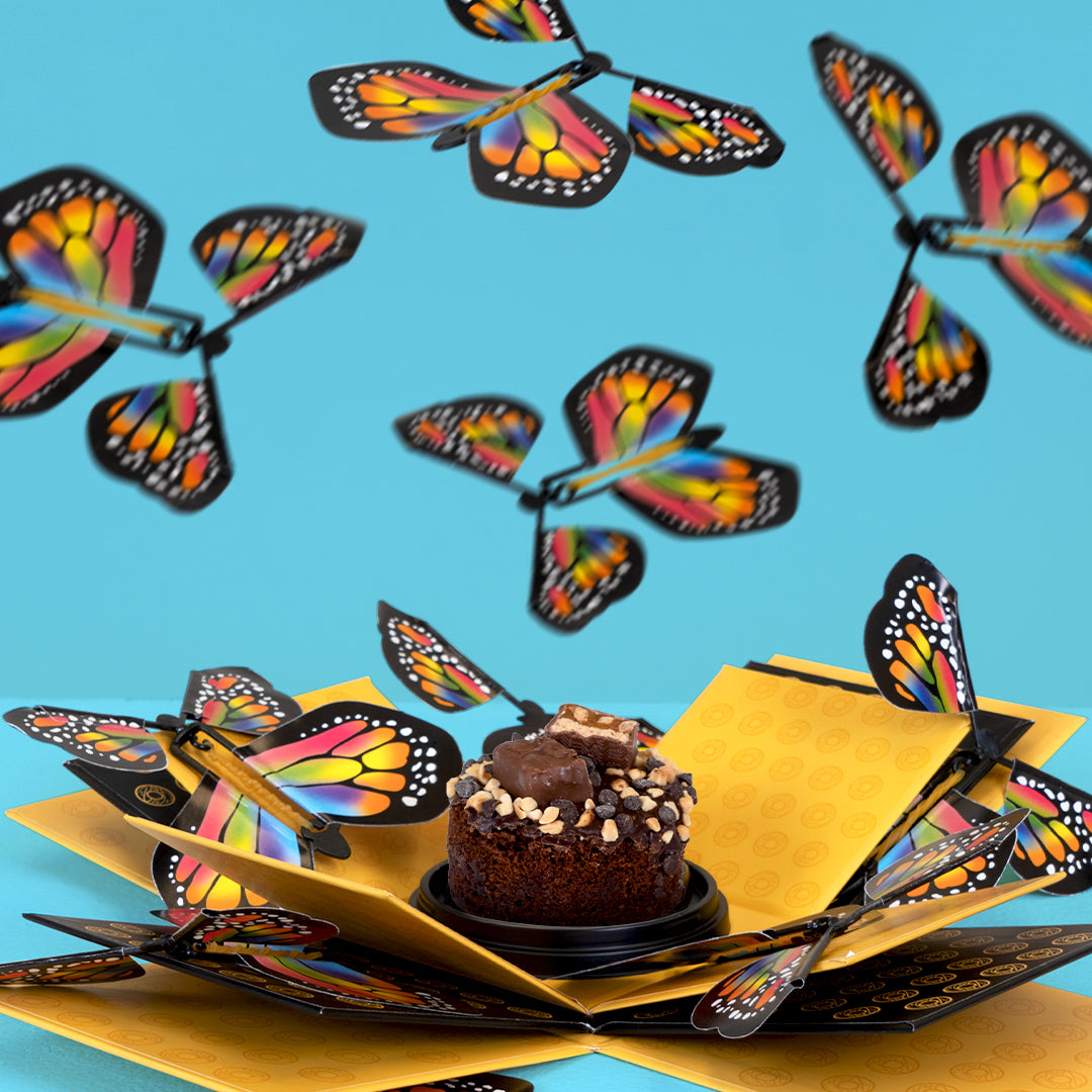 Cake Explosion Box with Flying Butterflies Gift – Goldelucks